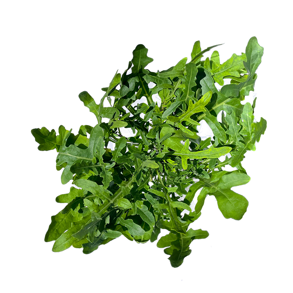 Rúgula Premium – JansonFarms